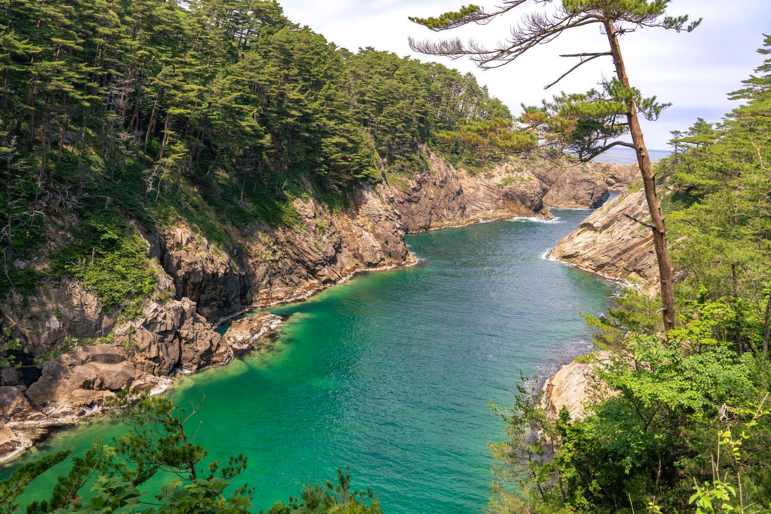 Oku Japan