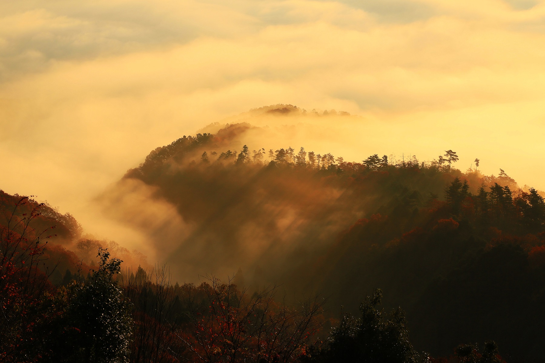 Harima and Himeji: Self-Guided Walking 4 Days Premium | Oku Japan