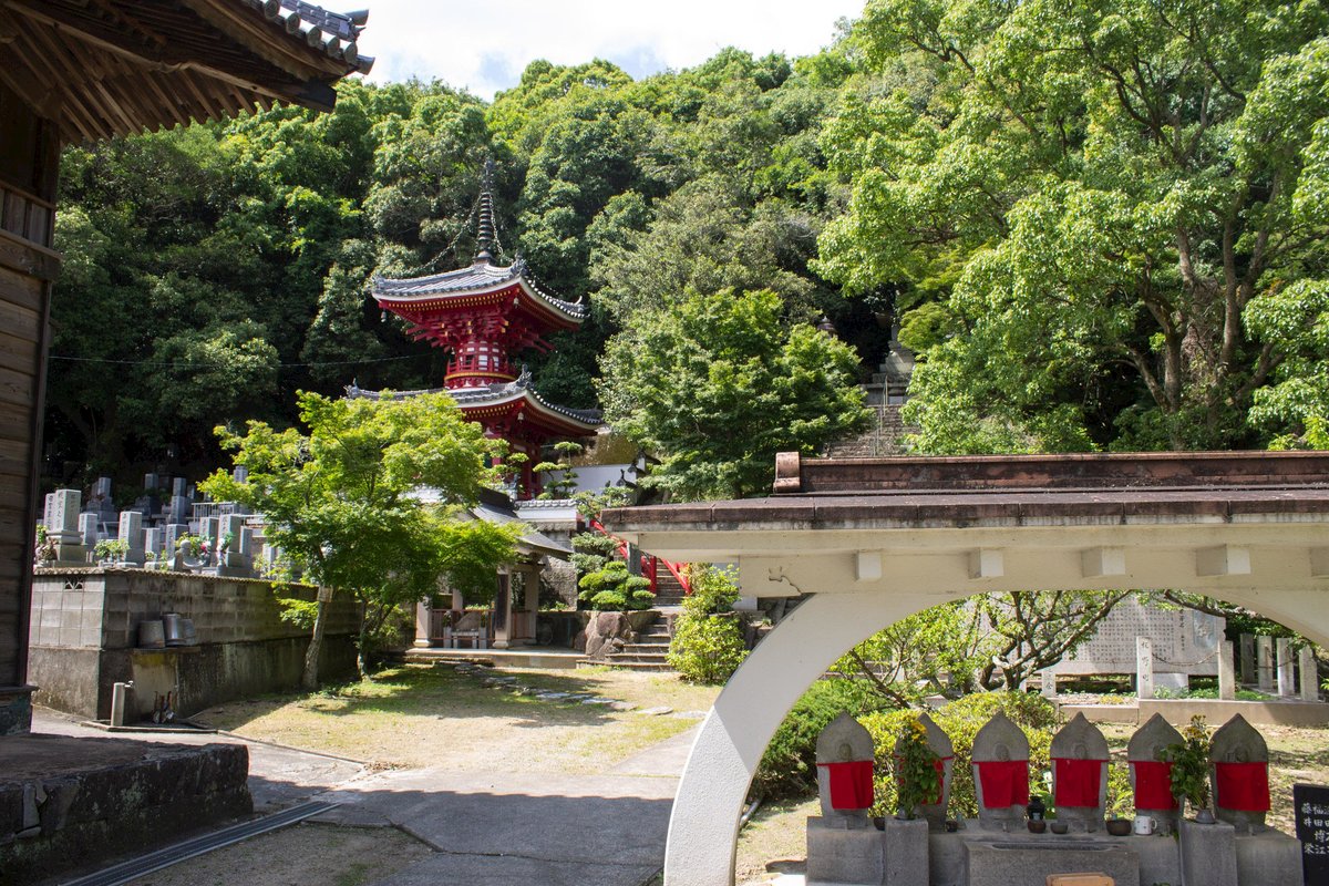 Temples and Trails of Shikoku | Oku Japan