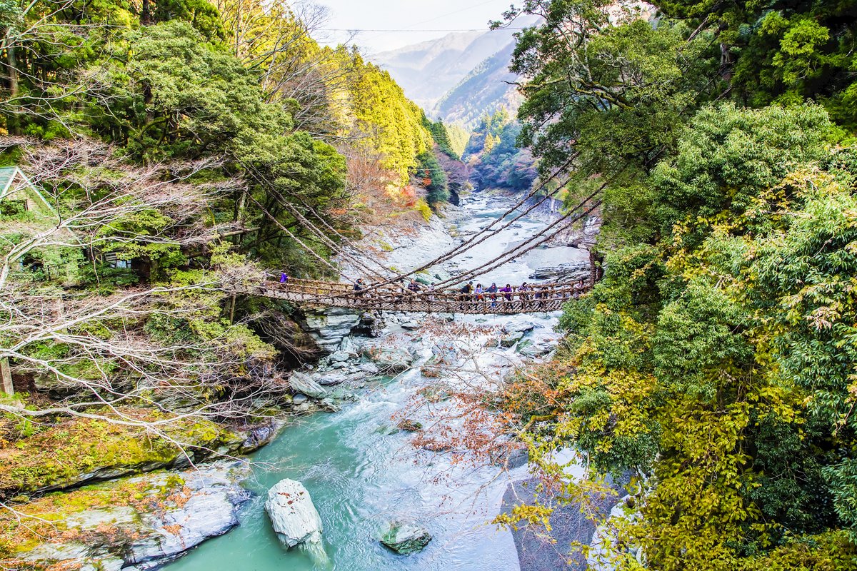 Temples and Trails of Shikoku | Oku Japan
